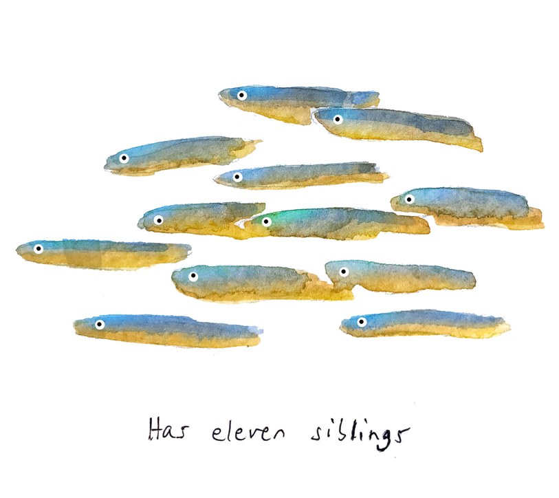 Home [pptp.cashcow.co.il]